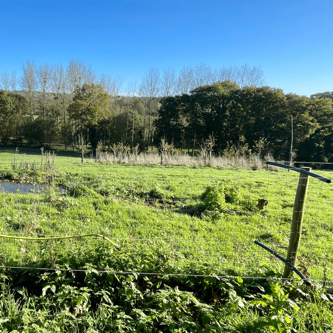 La Ferme du Bigna - Agroforesterie Association Française